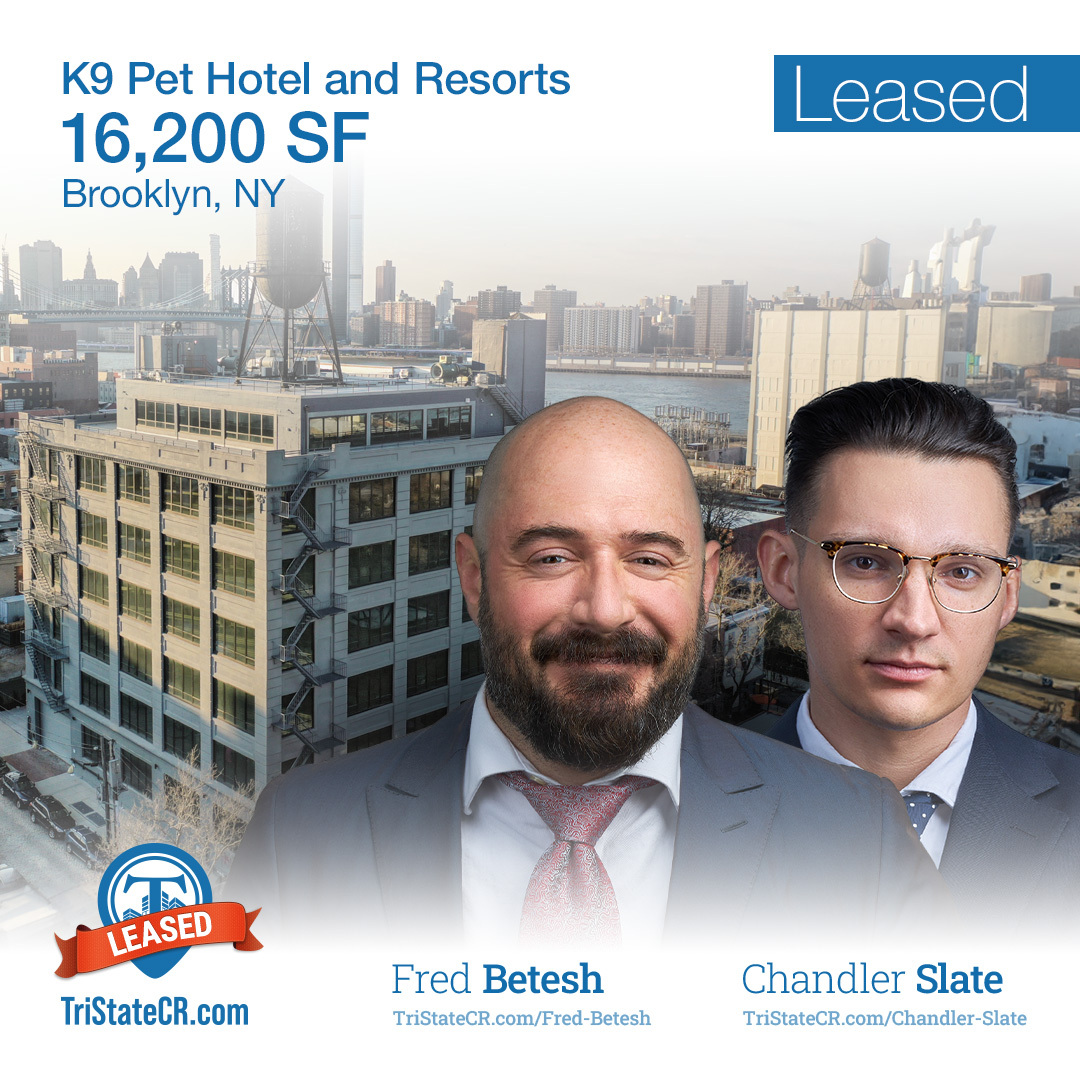 16,200 SF | 295 Front Street | K9 Pet Hotel and Resorts | Tri State ...
